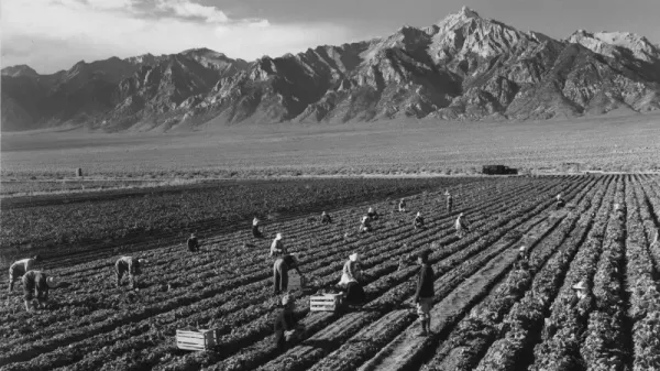 15+ Unknown Facts About American Soldiers in WW2 - Fame Throwback